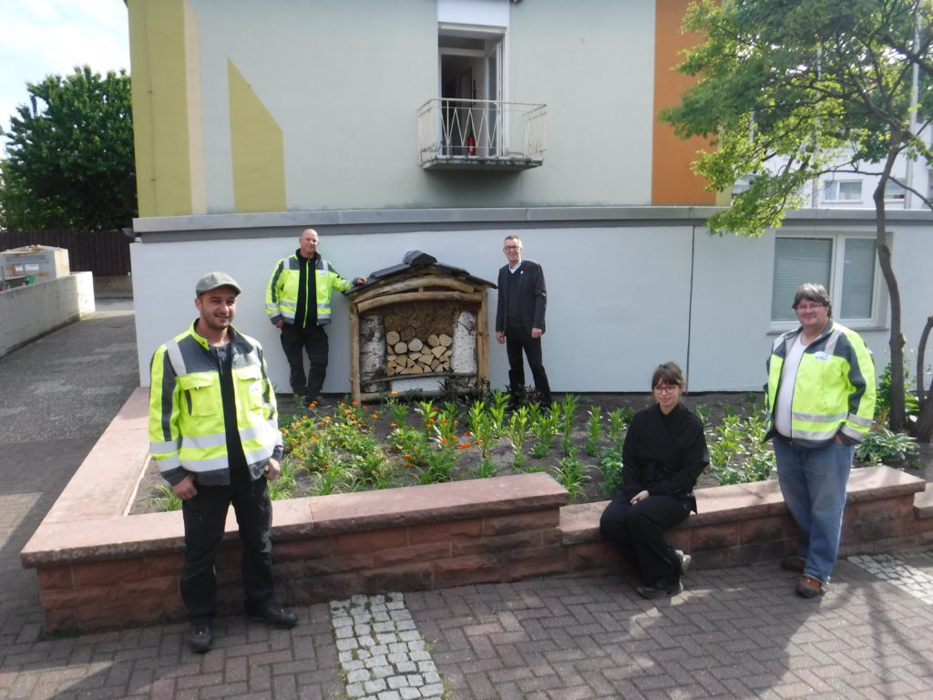Vor dem Rathaus steht jetzt ein Bienenhotel - Journal Lokal